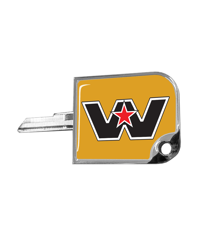 DLPCK-SKC2-WS-220 - Rectangular Small Key Cover WS Logo Yellow 220